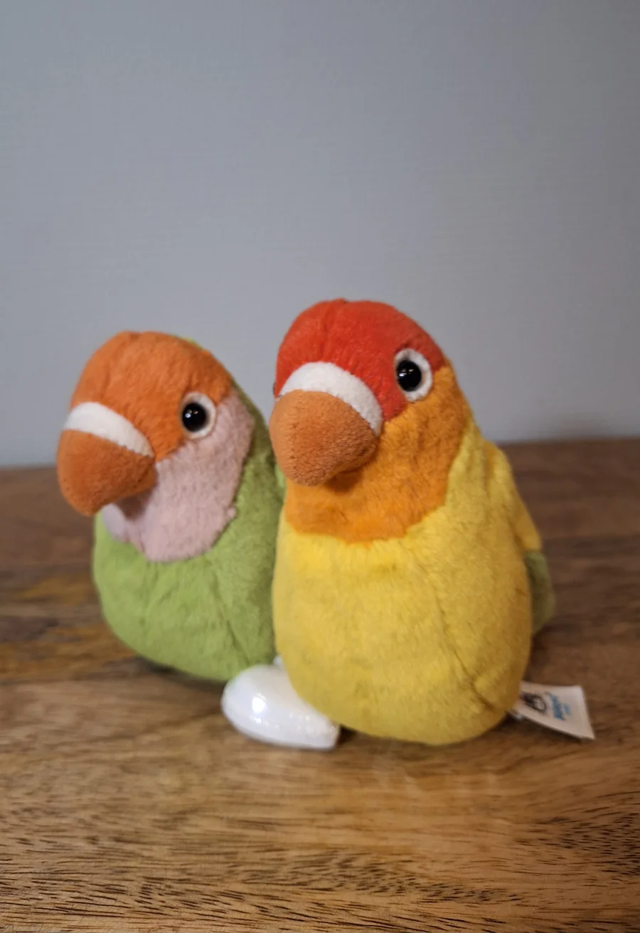 A Pair of Lovely Lovebirds Photo by Sofie - JellyCats Collection ...