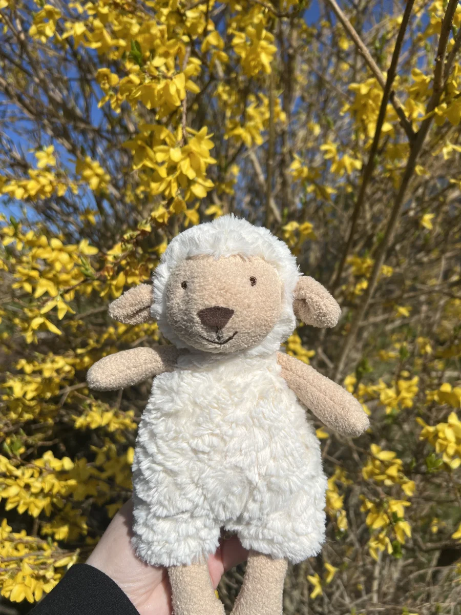 Lollie Lamb Photo by Stuffiewanderlust - JellyCats Collection | Jelly ...