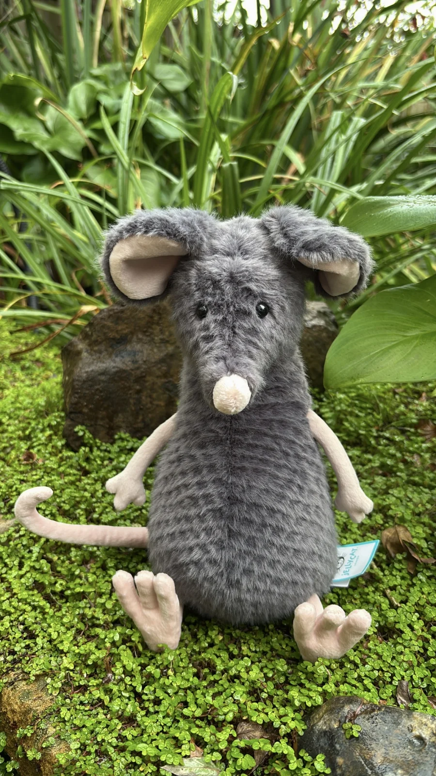 Lachlan Sad Rat Jellycat Photo by Jelly_Journey | Jelly Journal