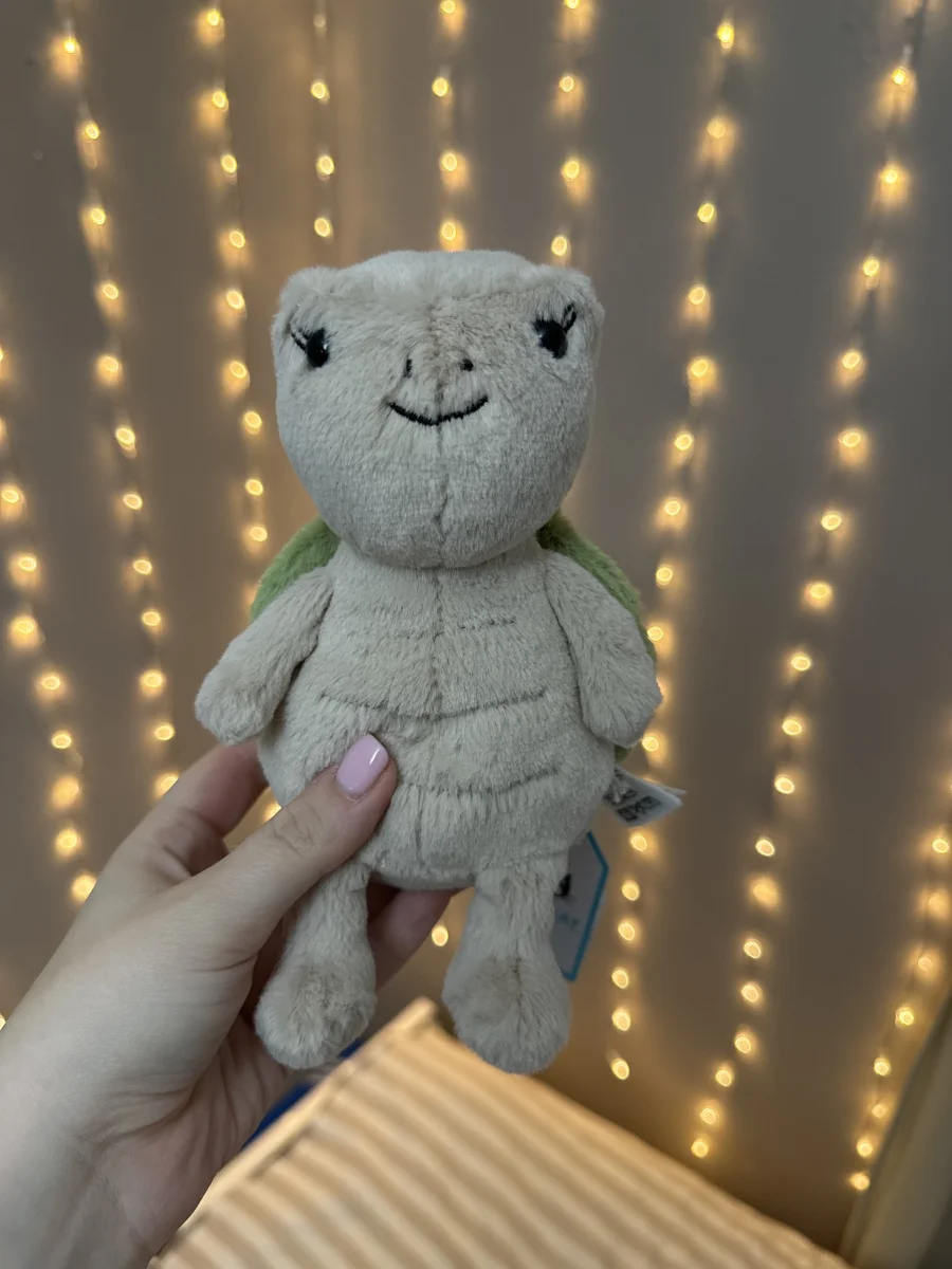 Thimble Turtle Photo by katiewiggett - JellyCats Collection | Jelly Journal