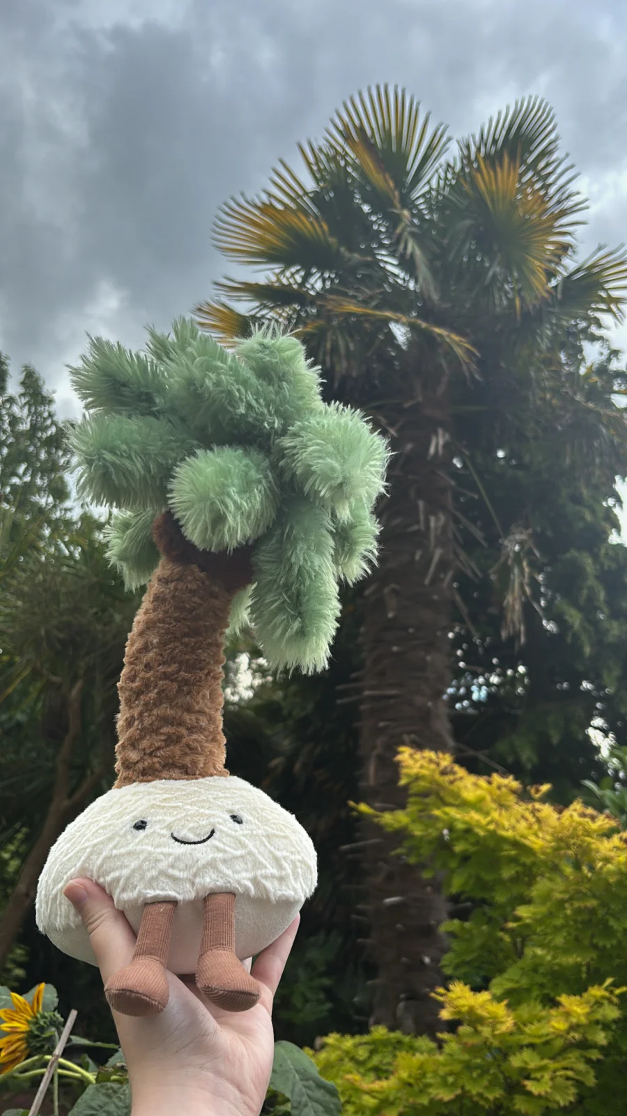 Amuseables Pammie Palm Tree Photo by Jelly_Journey - JellyCats ...