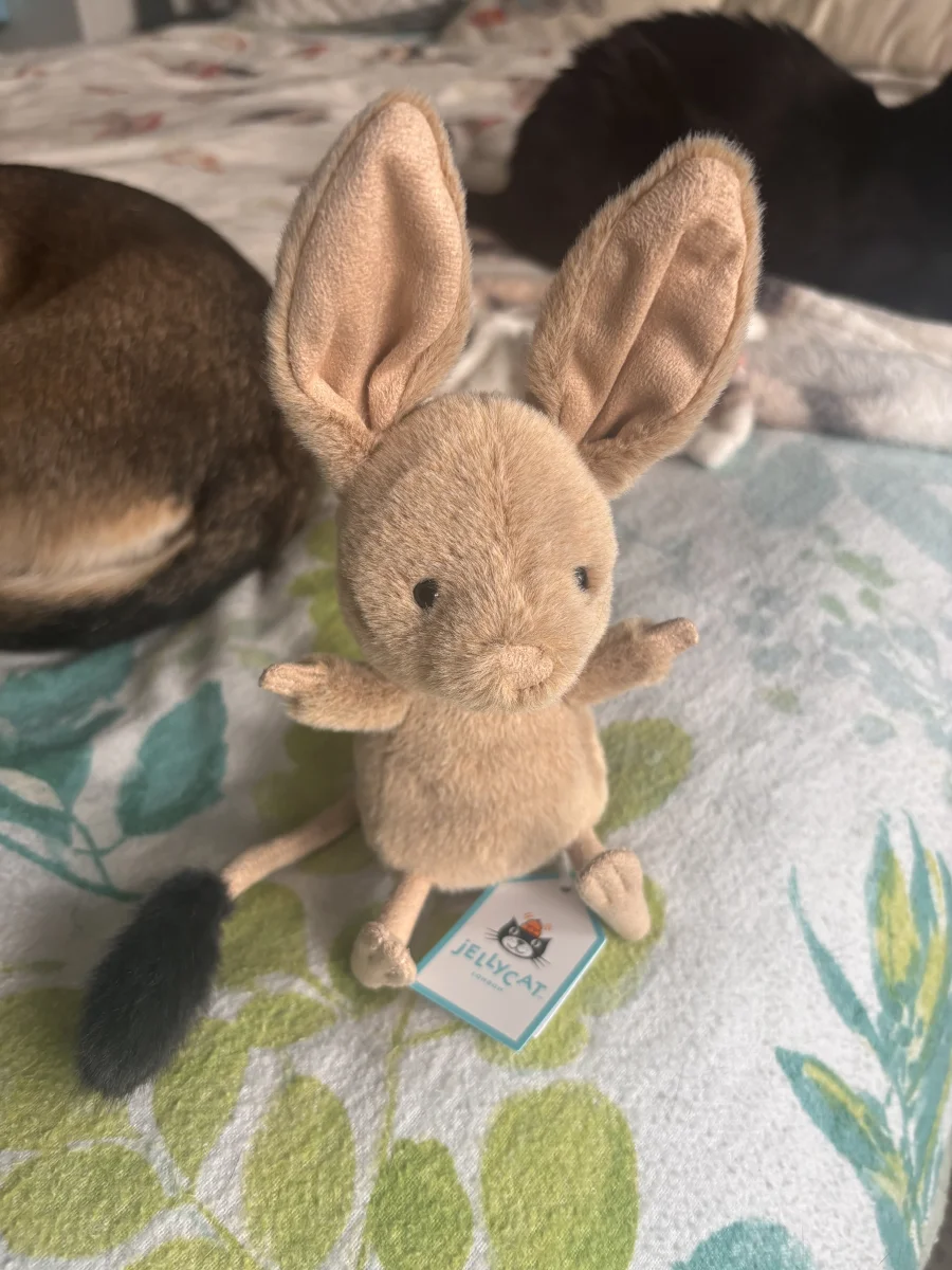 Jerboa Jellycat Photo by CharlieP | Jelly Journal
