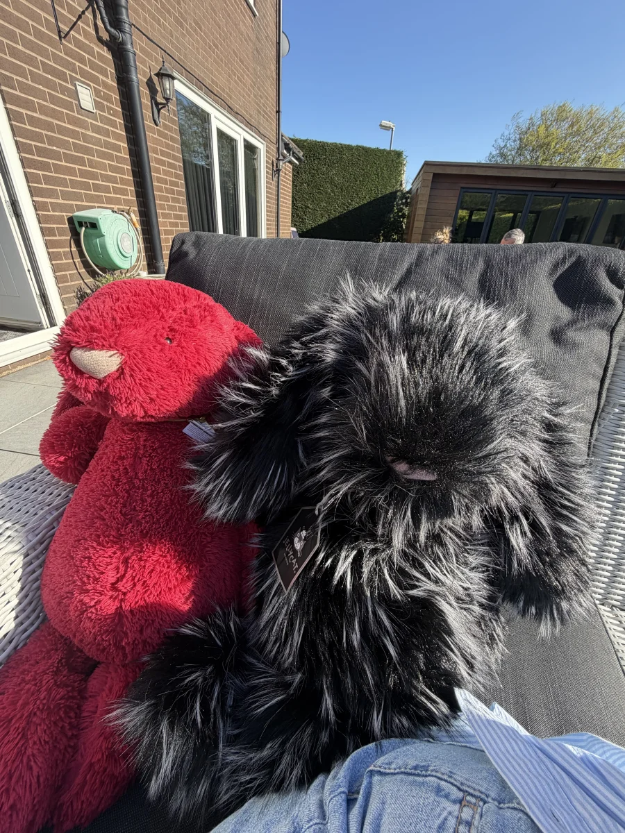 Inkli Bunny Jellycat Photo by Ellajgordon | Jelly Journal
