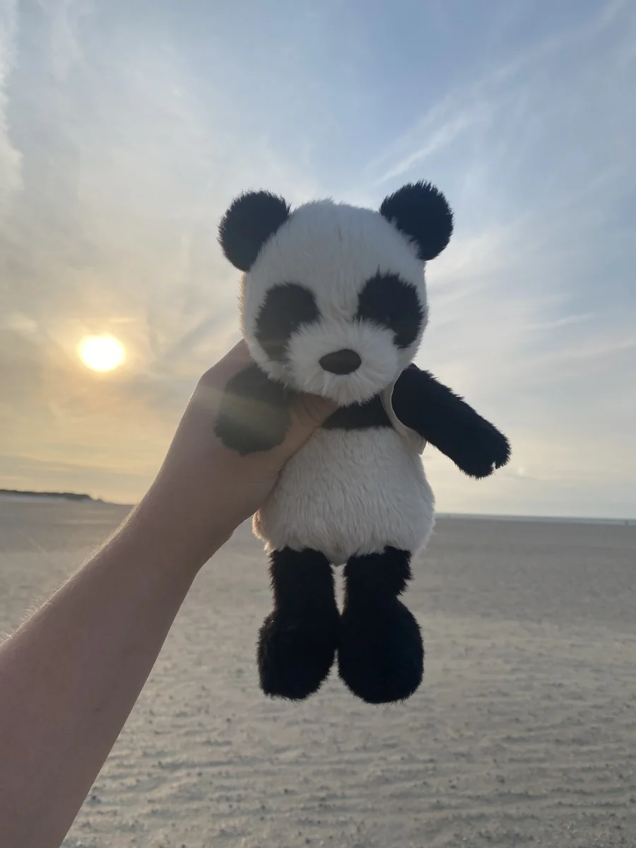 Backpack Panda Jellycat Photo by Fienjellyfriends | Jelly Journal