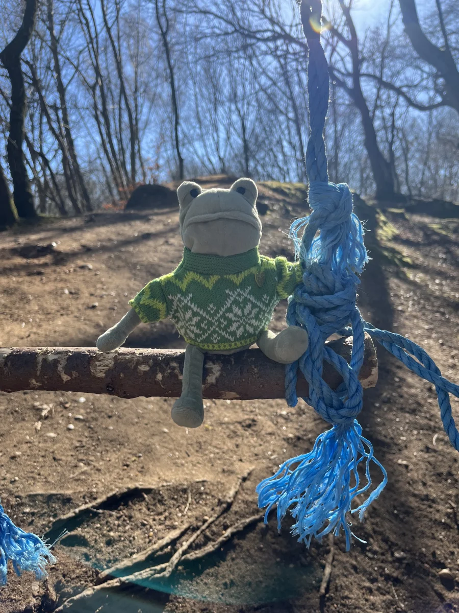 Fergus Frog Jellycat Photo by Lollysjellycats | Jelly Journal
