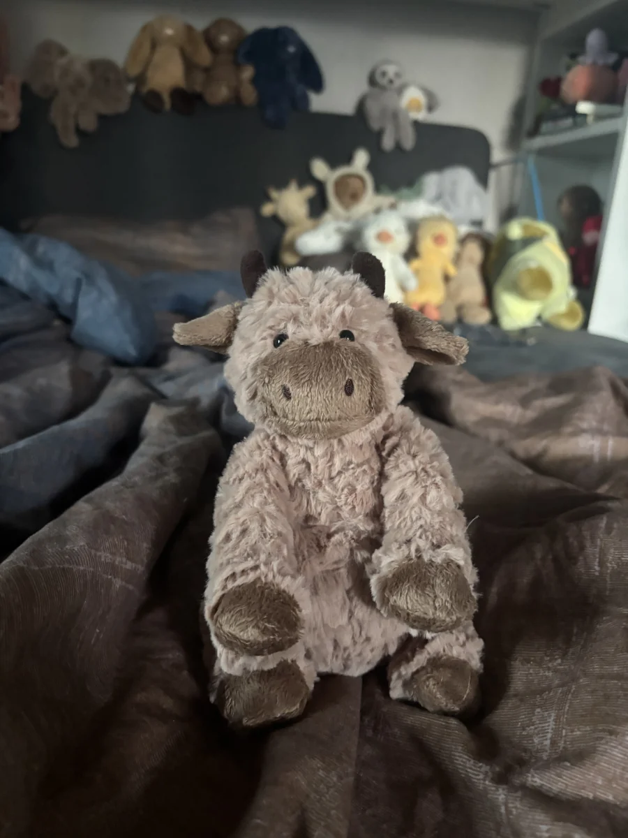 Fuddles Calf Photo by monki123 - JellyCats Collection | Jelly Journal