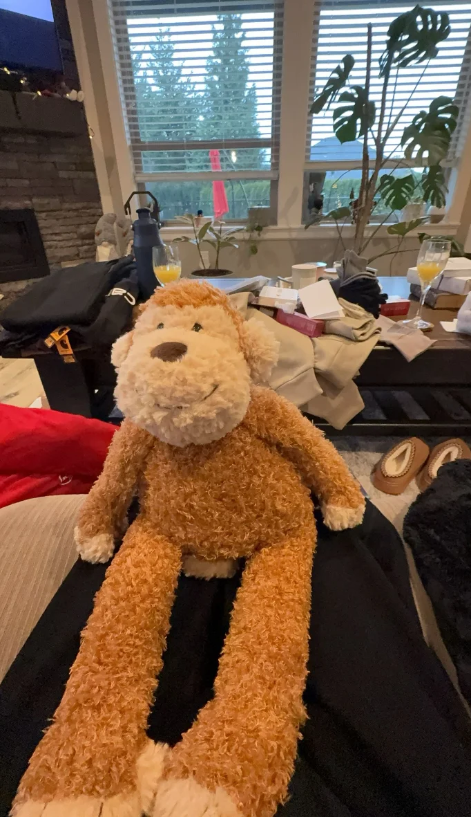 Junglie Monkey Photo by tjohnson1217 - JellyCats Collection | Jelly Journal