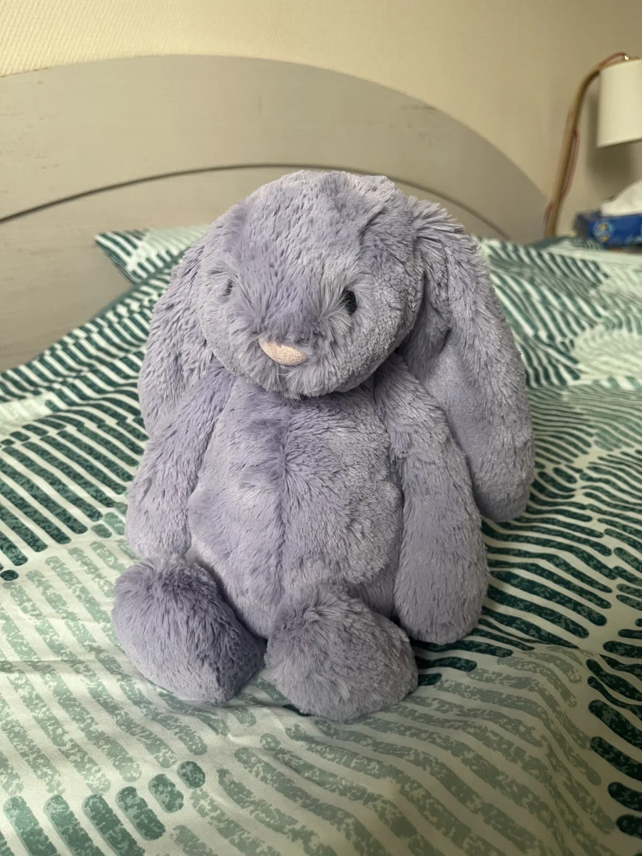 Bashful Viola Bunny Jellycat Photo by Paul | Jelly Journal