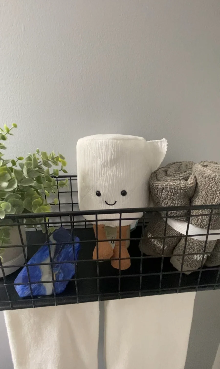 Amuseables Toilet Roll Photo by PinkLotus2023 - JellyCats Collection ...