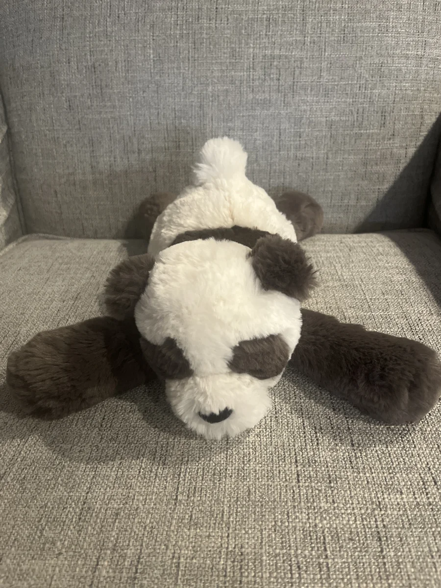 Smudge Panda Photo by McKenna - JellyCats Collection | Jelly Journal