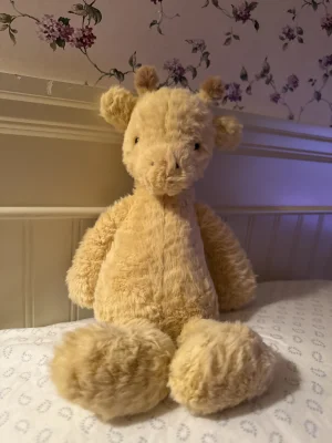 Rolie Polie Giraffe Jellycat | Jelly Journal