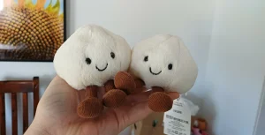 Yum & Sum Dumplings 🇨🇳 Jellycat | Jelly Journal