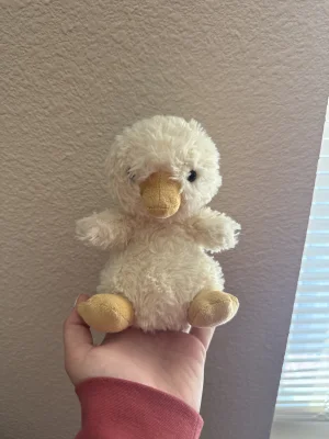 Broox Bat Photo by asia_keane - JellyCats Collection | Jelly Journal