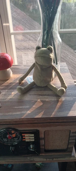 Fergus Frog Jellycat | Jelly Journal