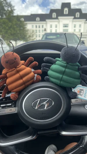 Anoraknid Black Spider Jellycat | Jelly Journal