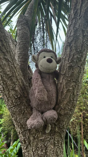 Bashful Monkey - Medium Jellycat | Jelly Journal